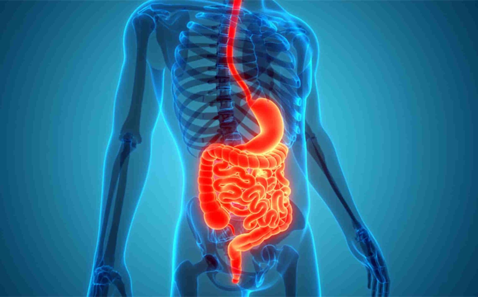 Medical Marijuana and Gastrointestinal Disorders - Rethink-Rx