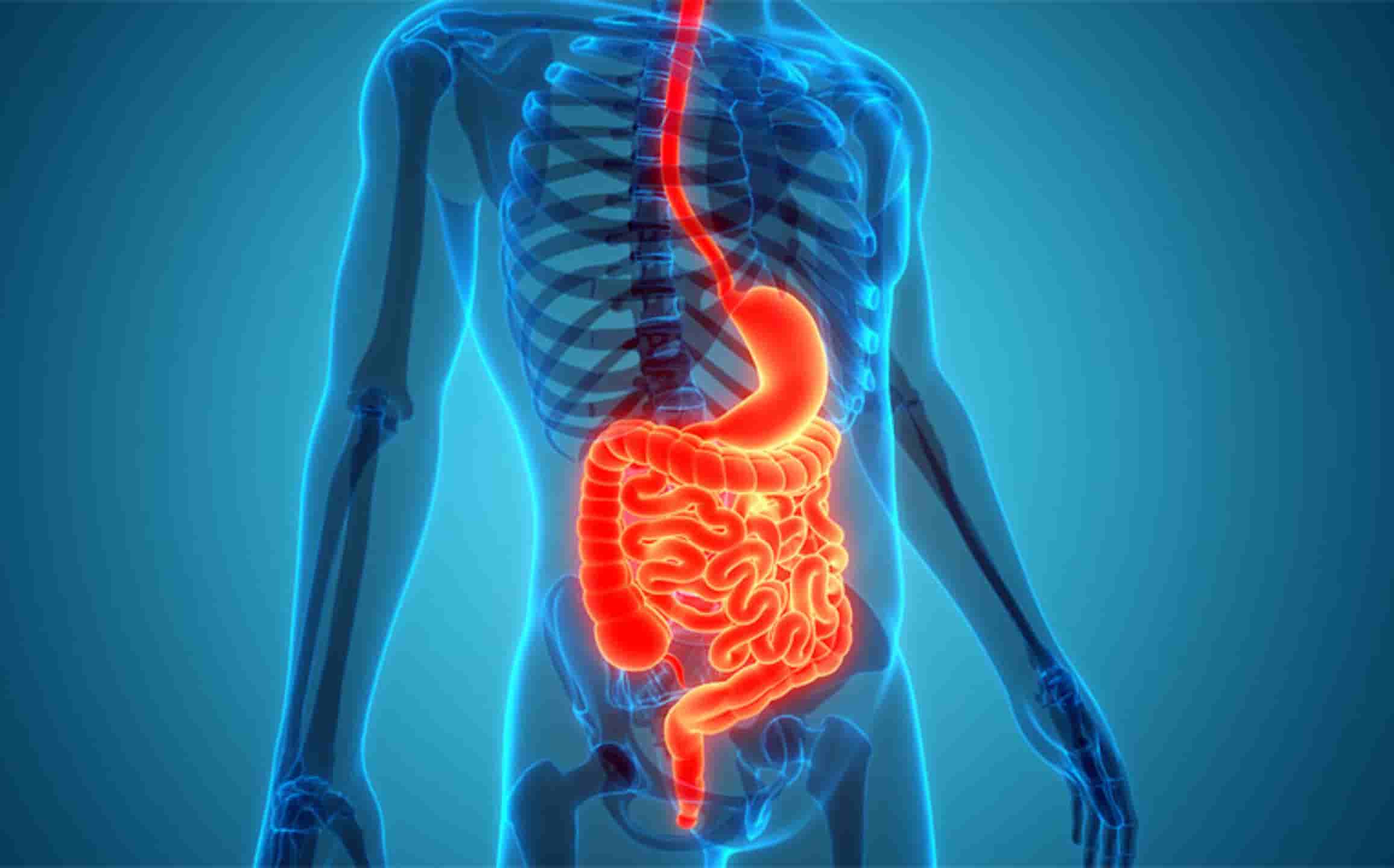 Medical Marijuana and Gastrointestinal Disorders - Rethink-Rx