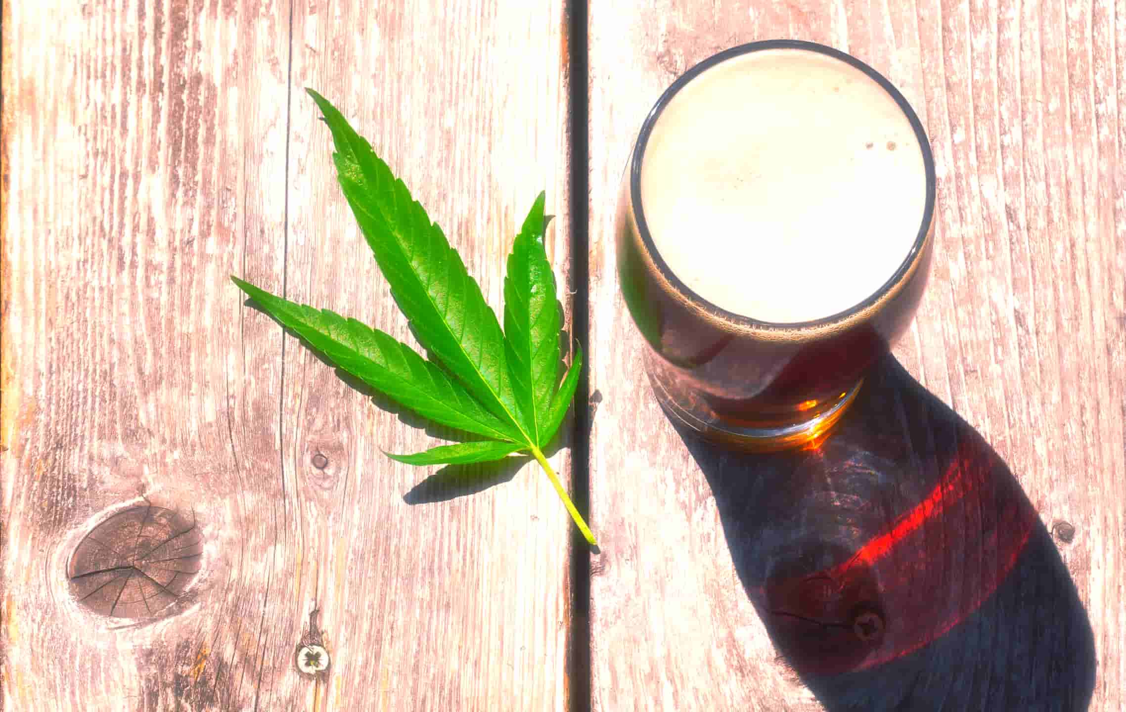 Cannabis vs. Alcohol: Medical Marijuana’s Health Profile - Rethink-Rx